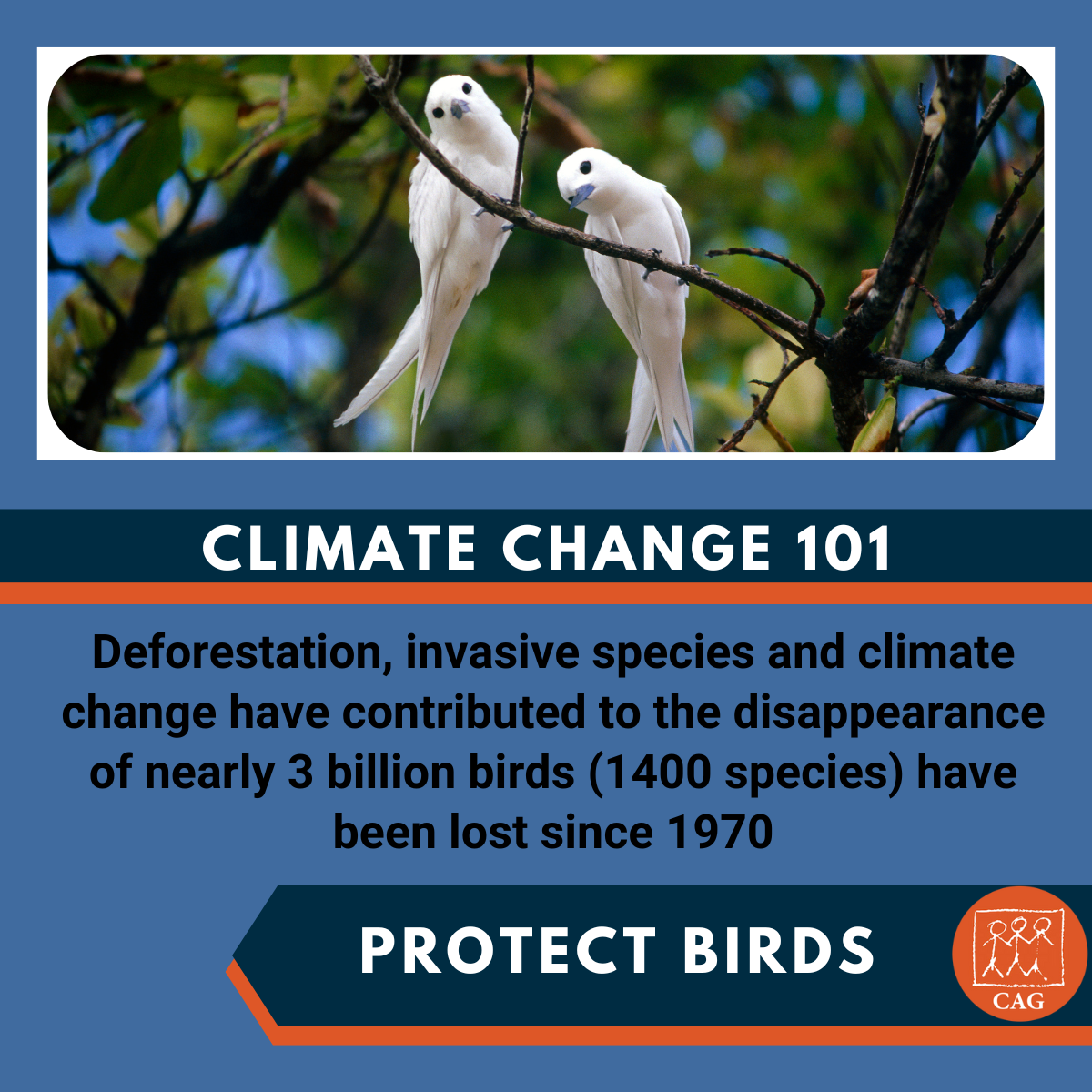 Climate Change - Protect birds with habitat restoration | Climate ...