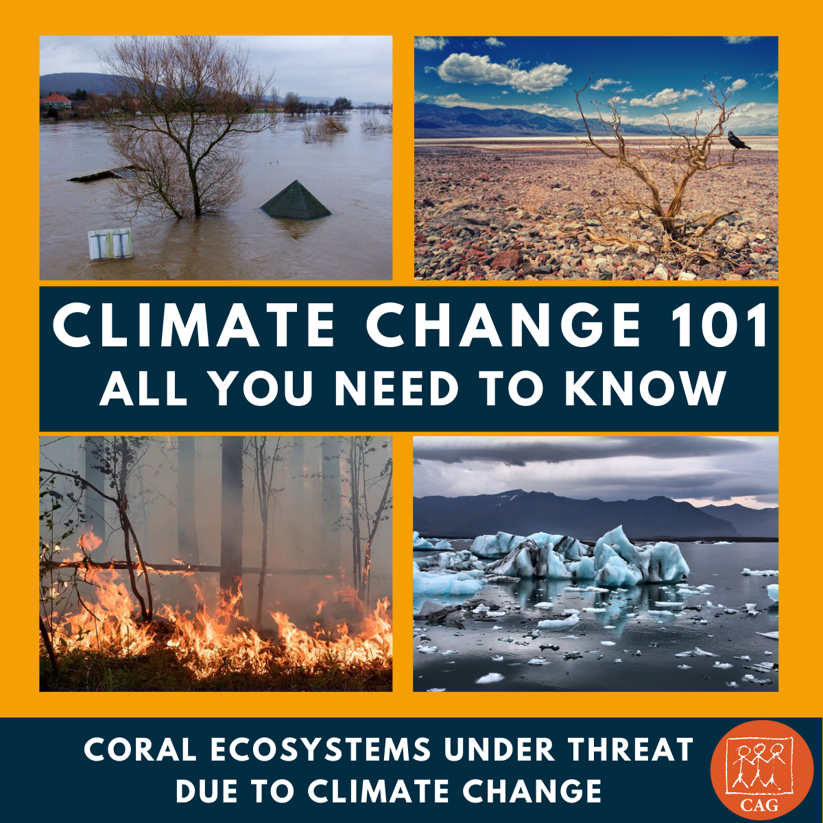 Climate Change - Coral Ecosystems under Threat | Climate Connection