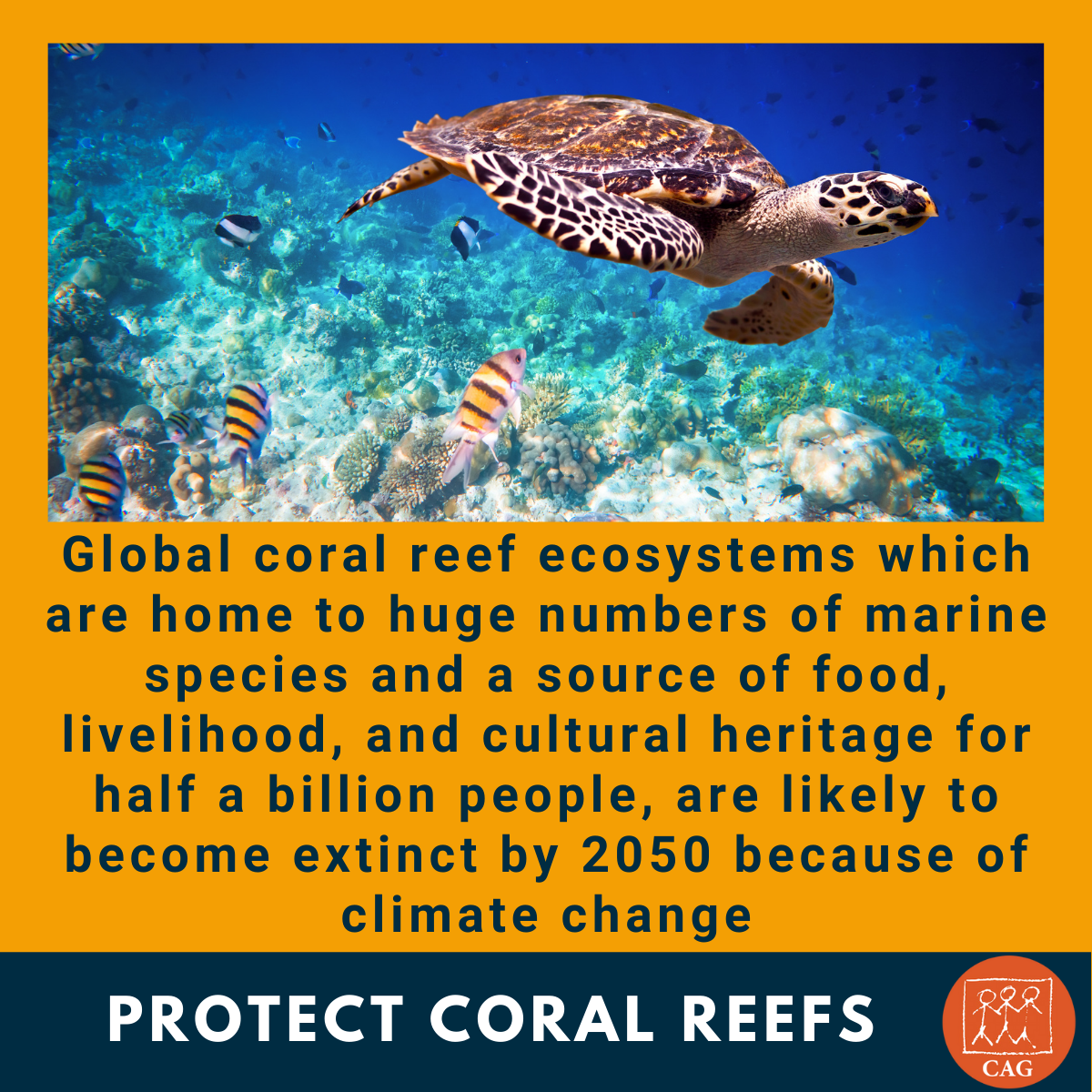 Climate Change - Coral Ecosystems under Threat | Climate Connection