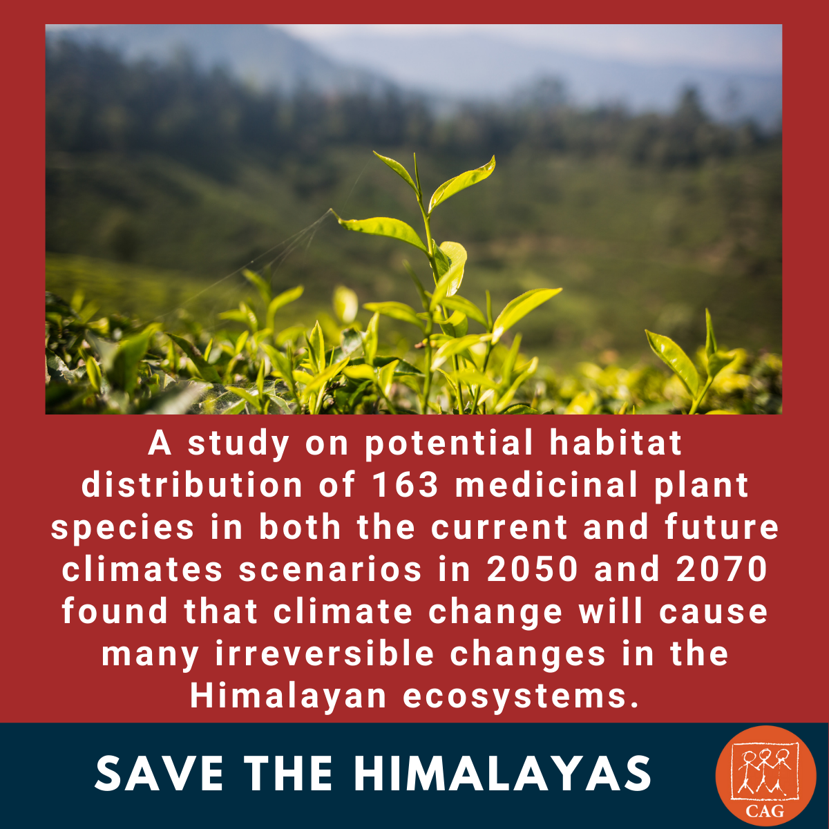 Climate Change - Save the Himalayas | Climate Connection