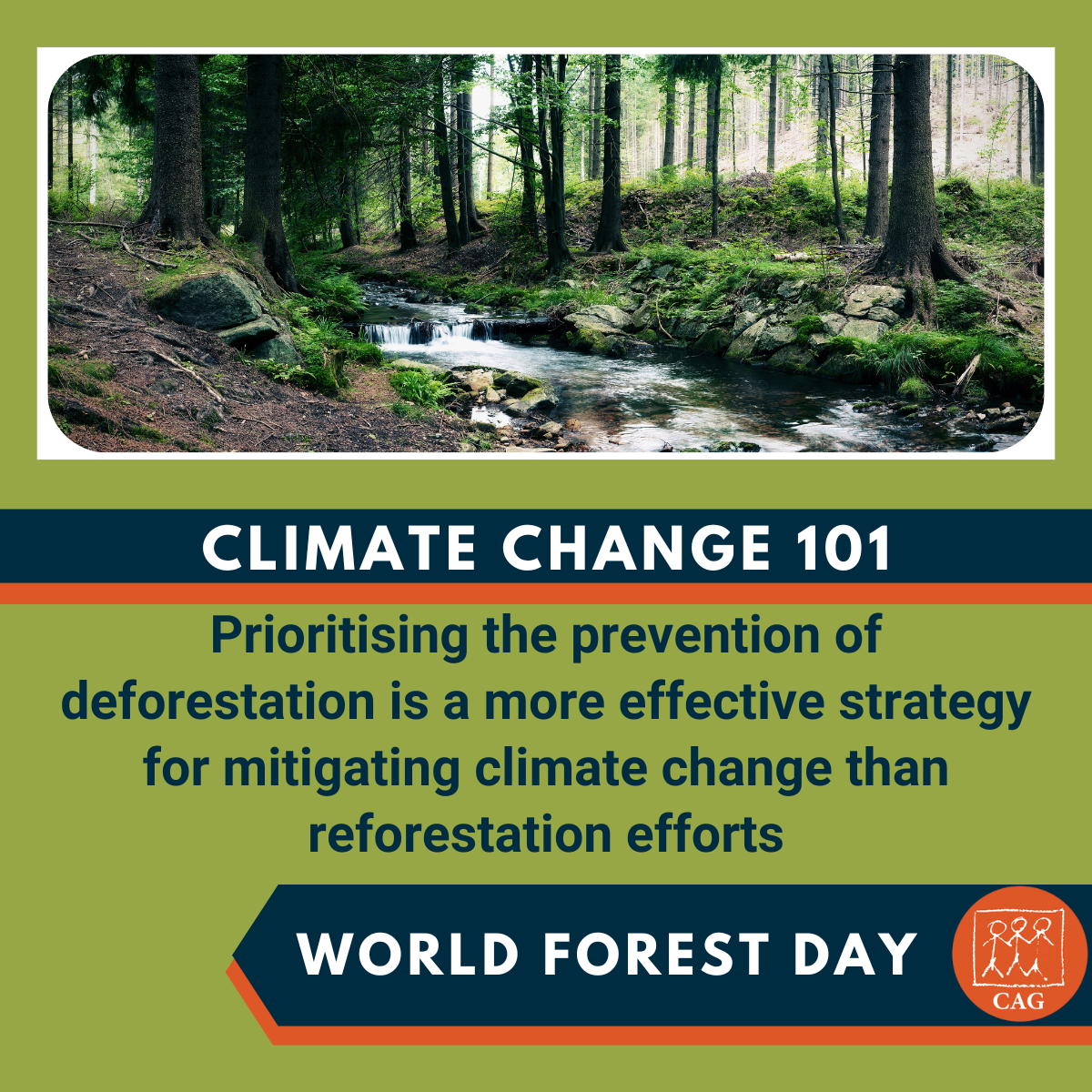 Climate Change - Prevention of deforestation | Climate Connection