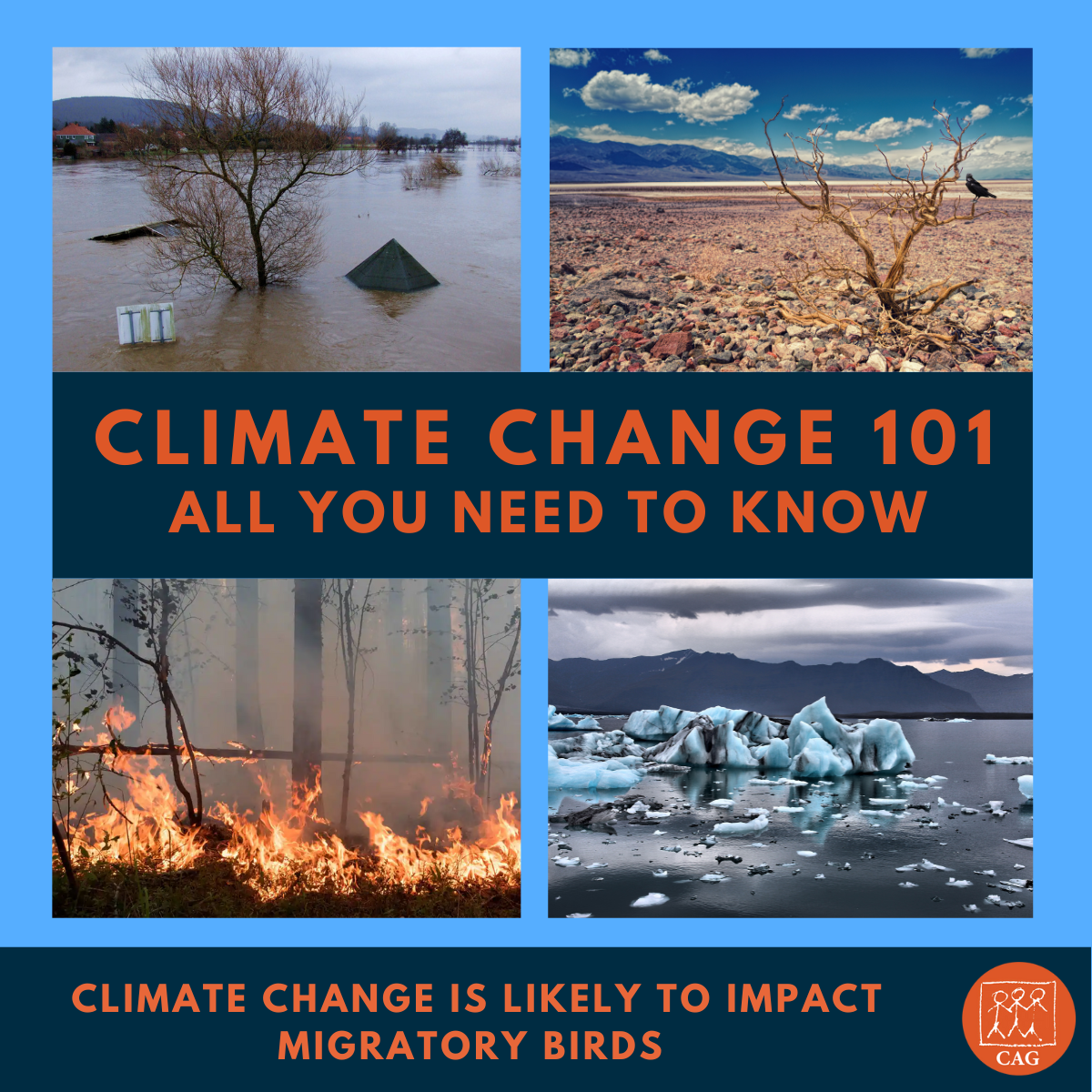 Climate Change - Impact on migratory birds | Climate Connection