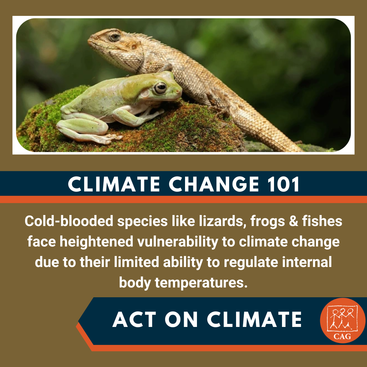 Climate Change - Extinction of mammal species | Climate Connection