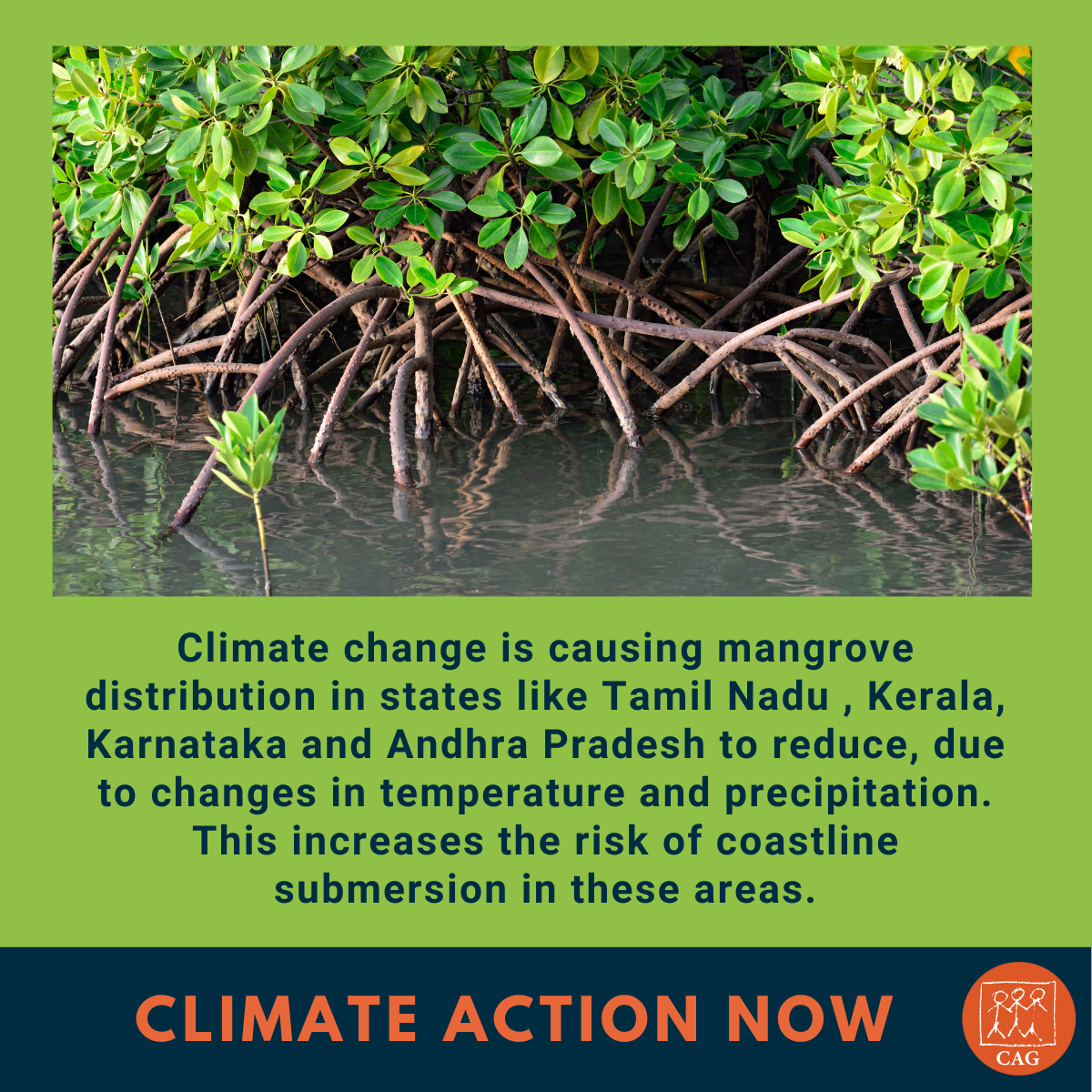 Climate Change - Indian mangroves at threat | Climate Connection