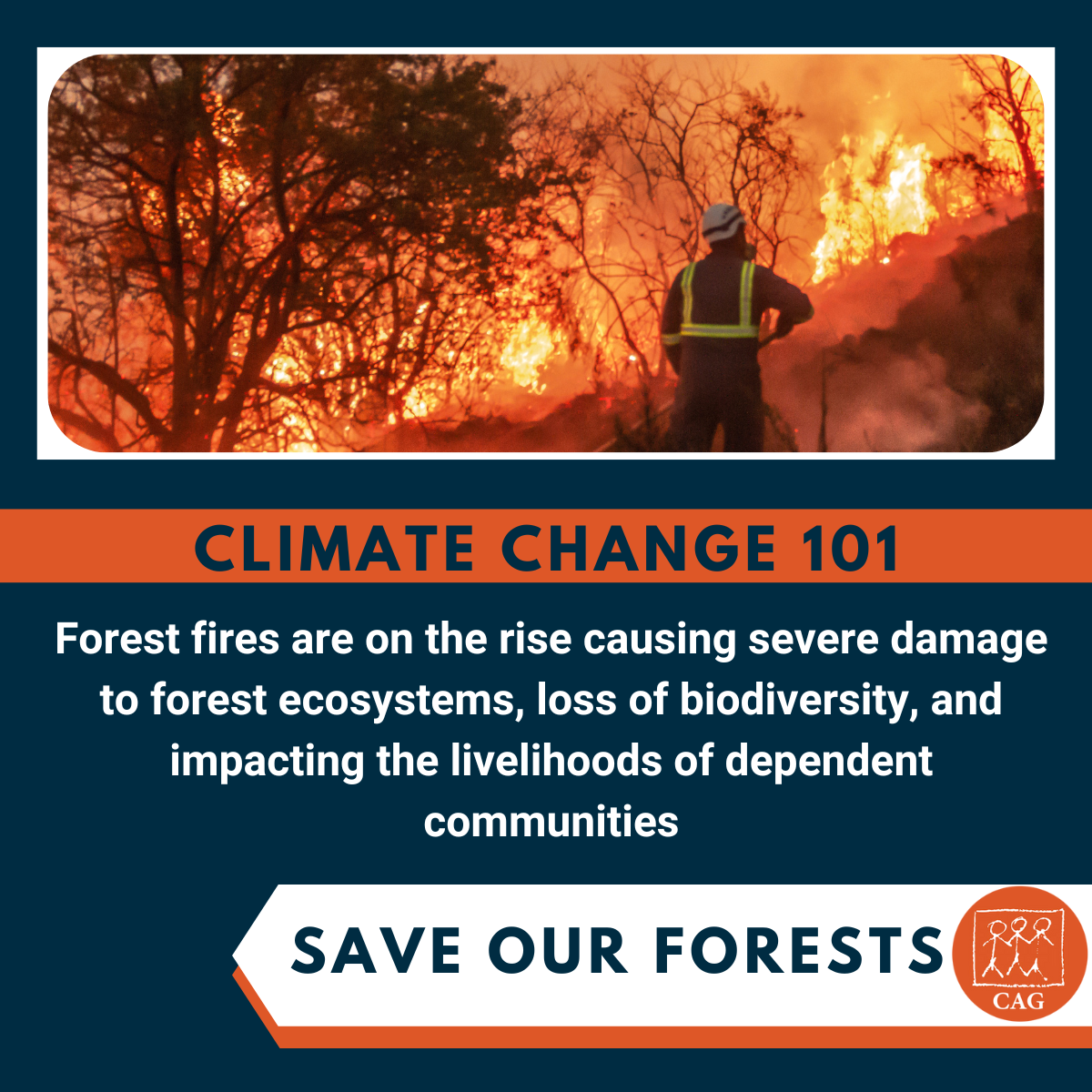 Climate Change - Increase in forest fires | Climate Connection