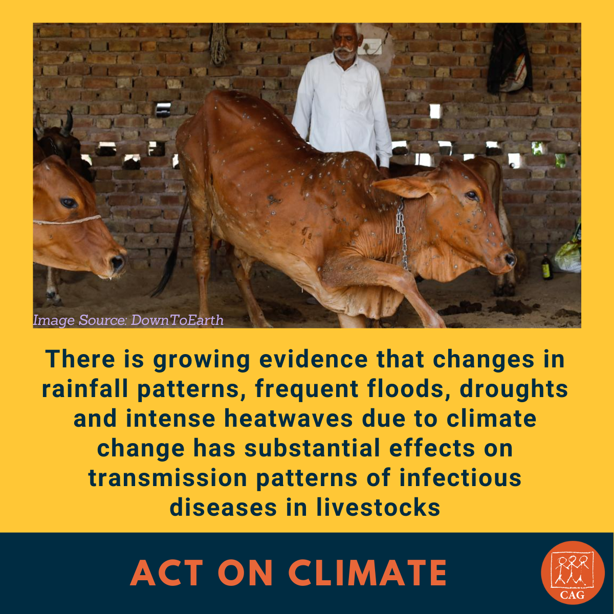 Climate Change - Impact on antibiotic resistance | Climate Connection