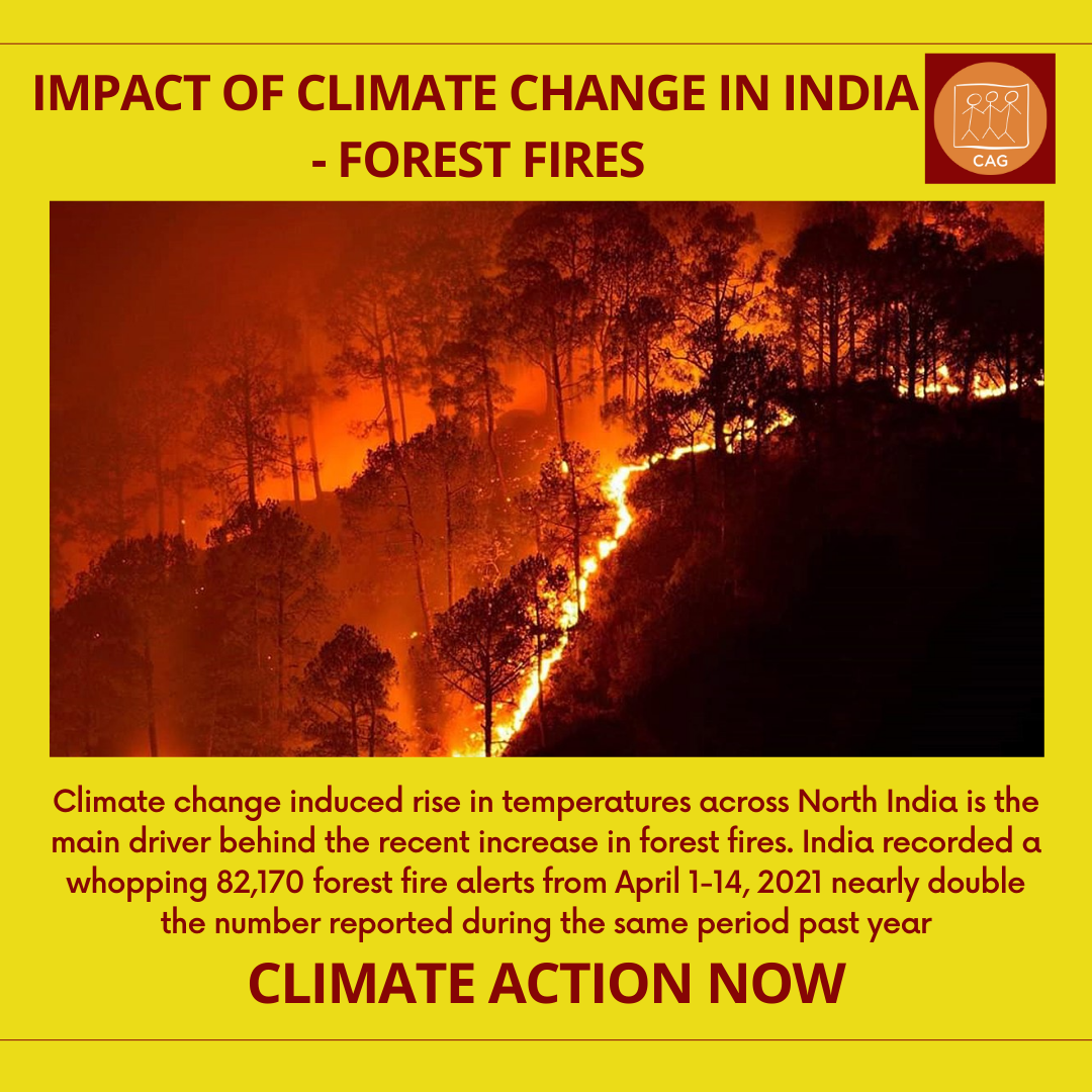 Climate Change: Forest Fires | Climate Connection