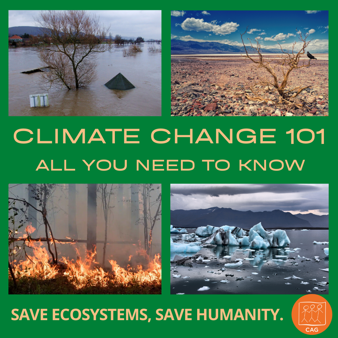 Climate Change - Impact on Global Ecosystems | Climate Connection