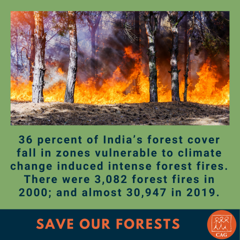 Climate Change - Rise of Forest Fires | Climate Connection