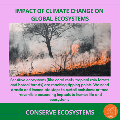 Climate Change - Impact on Global Ecosystems | Climate Connection
