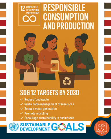 Sustainable Development Goals (SDGs)- Responsible consumption and ...
